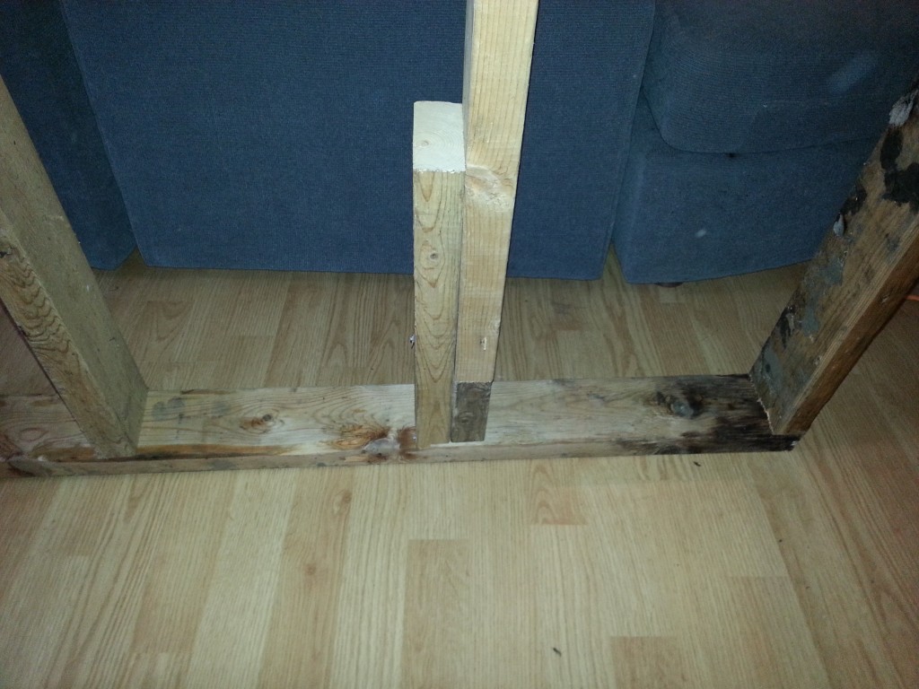 How to Build a Tree House Phase 4- Framing the Sides | Michael Driver