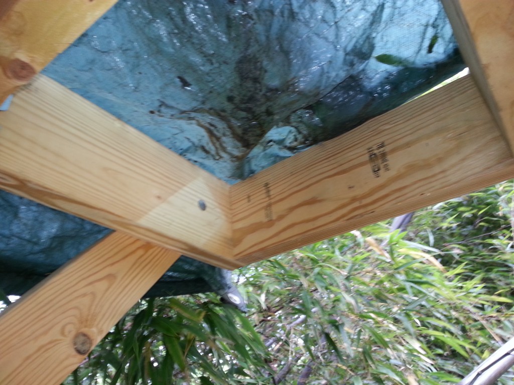 How to Build a Tree House Phase 4- Framing the Sides | Michael Driver