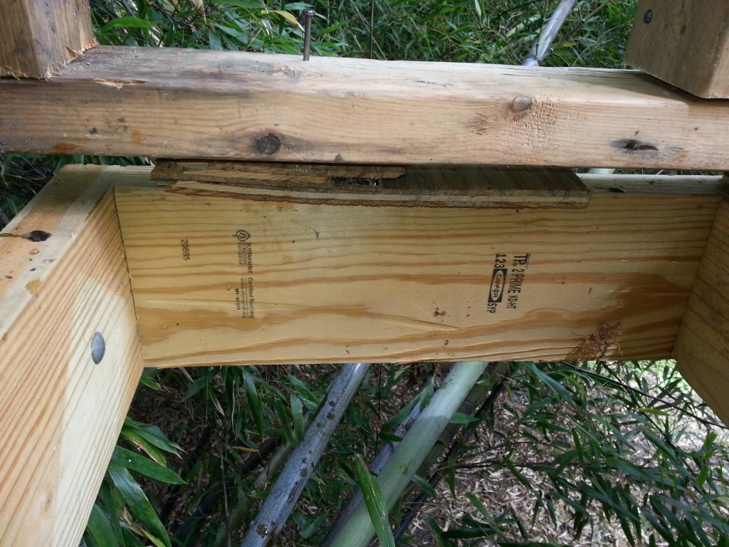 How to Build a Tree House Phase 4- Framing the Sides | Michael Driver