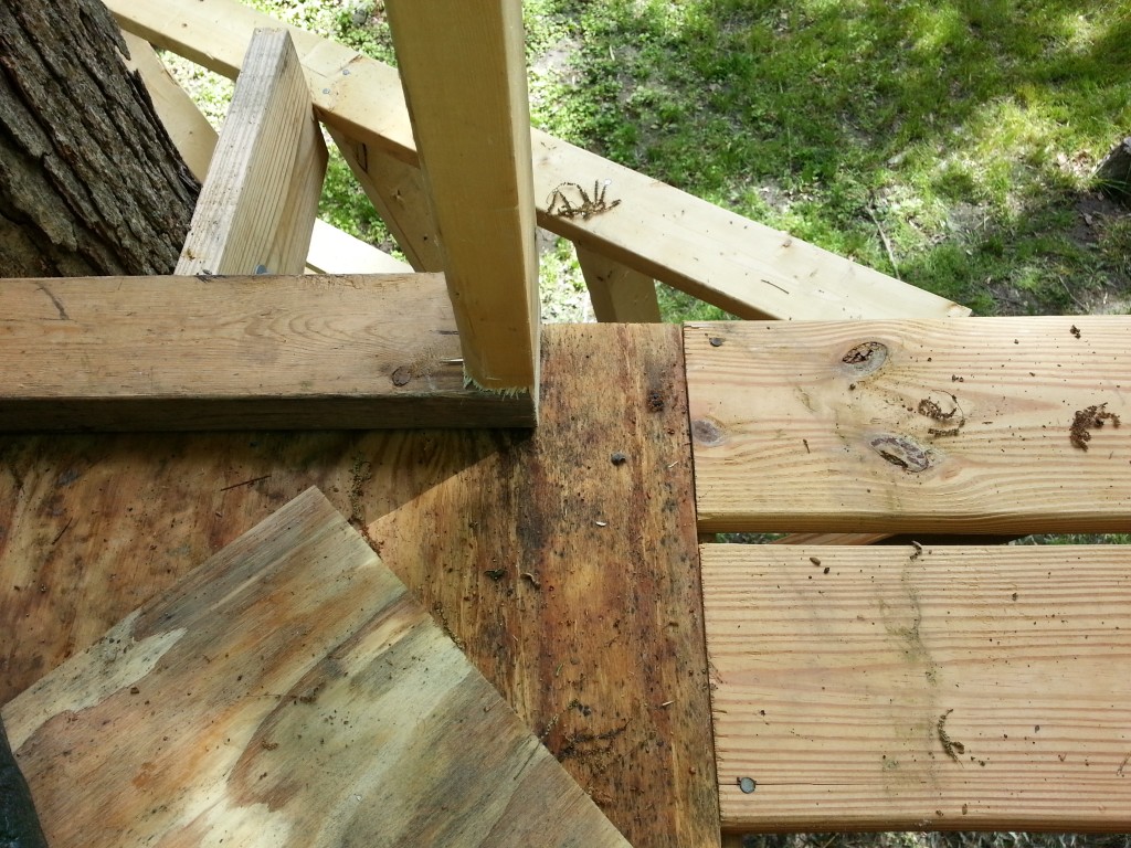 How to Build a Tree House Phase 4- Framing the Sides | Michael Driver