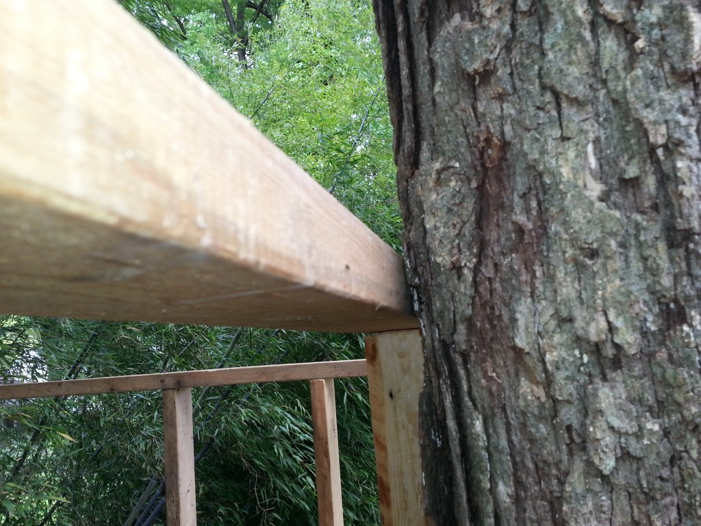 How to Build a Tree House Phase 4- Framing the Sides | Michael Driver