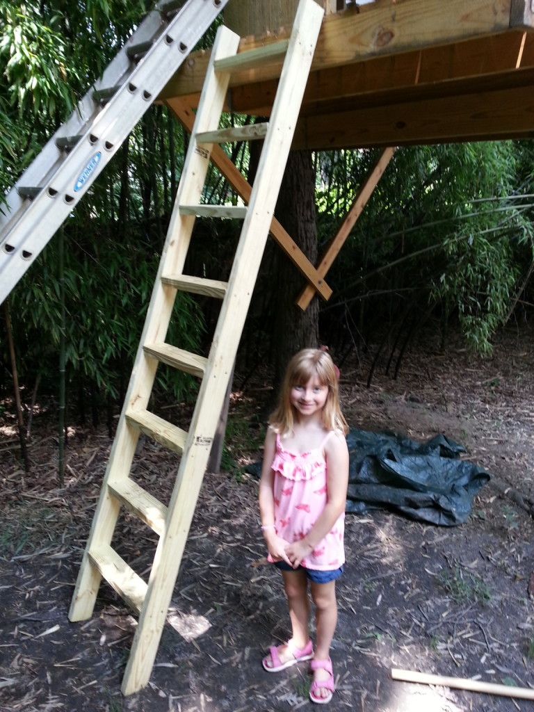 How to Build a Treehouse Phase 6- details details details | Michael Driver